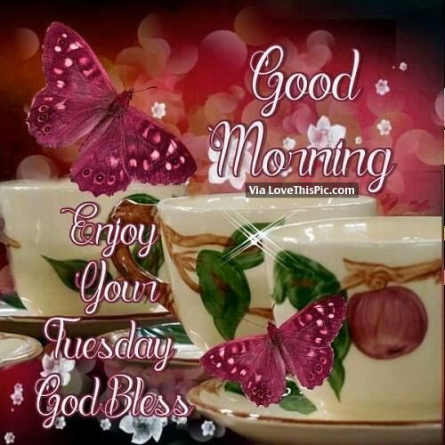 Good Morning, Enjoy Your Tuesday. God Bless Pictures, Photos, and ...