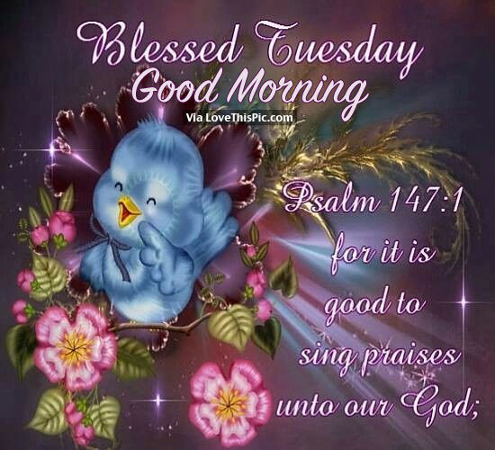 Blessed Tuesday, Good Morning Pictures, Photos, and Images for Facebook ...