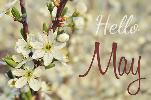 Hello May Pictures, Photos, and Images for Facebook, Tumblr, Pinterest ...