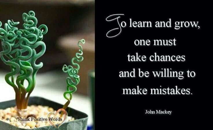 To Learn And Grow, One Must Take Chances Be Willing To Make Mistakes ...