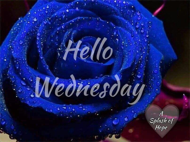 Hello Wednesday Pictures, Photos, and Images for Facebook, Tumblr ...