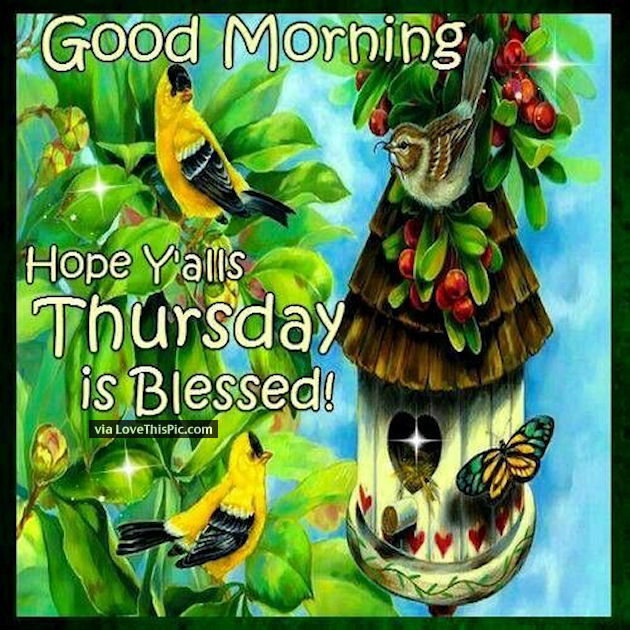 Good Morning Hope Yall Have A Blessed Thursday Pictures, Photos, and ...