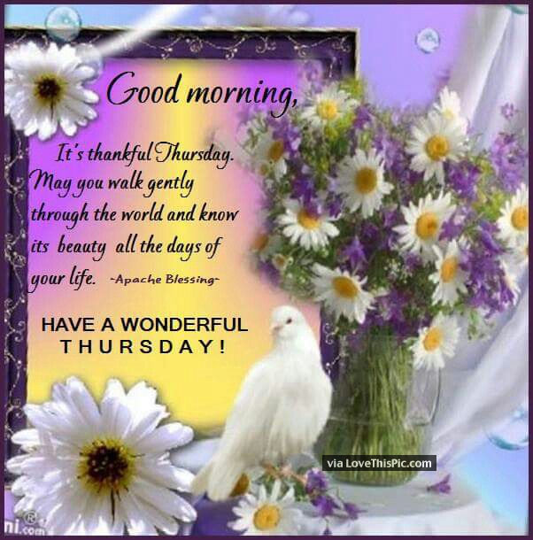Good Morning And Have A Wonderful Thursday Pictures, Photos, and Images ...