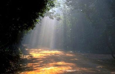 Nature Sun Pictures, Photos, and Images for Facebook, Tumblr, Pinterest ...