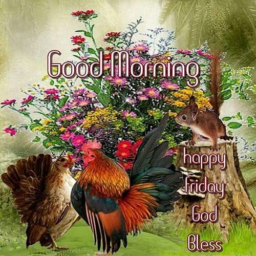 Good Morning, Happy Friday, God Bless Pictures, Photos, and Images for ...