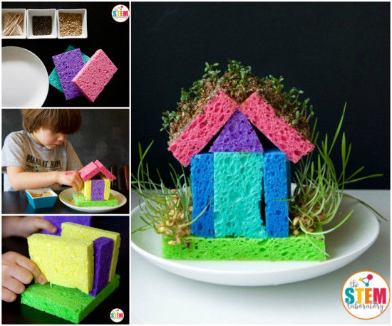 DIY Sponge House Pictures, Photos, and Images for Facebook, Tumblr ...
