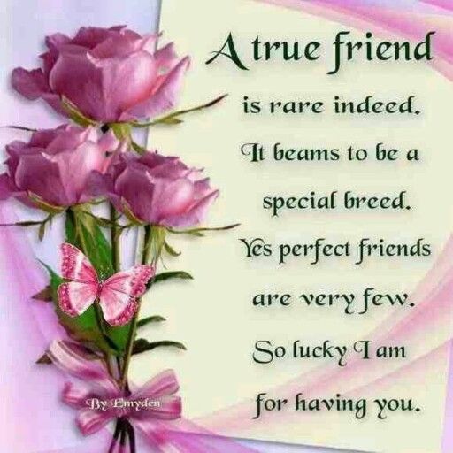 A True Friend Pictures, Photos, and Images for Facebook, Tumblr ...