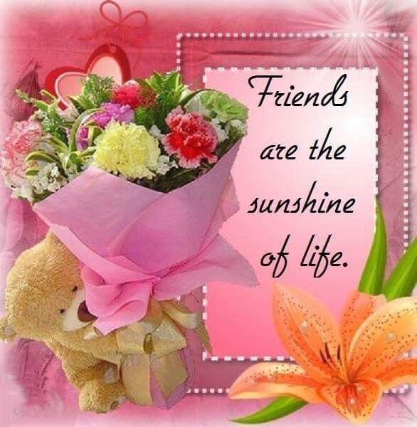 Friends Are The Sunshine Of Life Pictures, Photos, and Images for ...