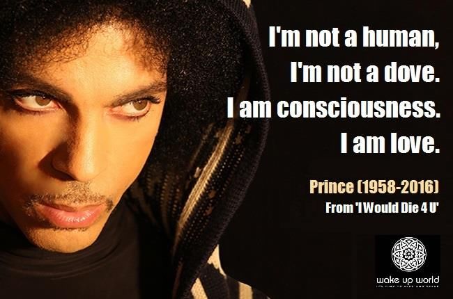 Prince Pictures, Photos, and Images for Facebook, Tumblr, Pinterest ...
