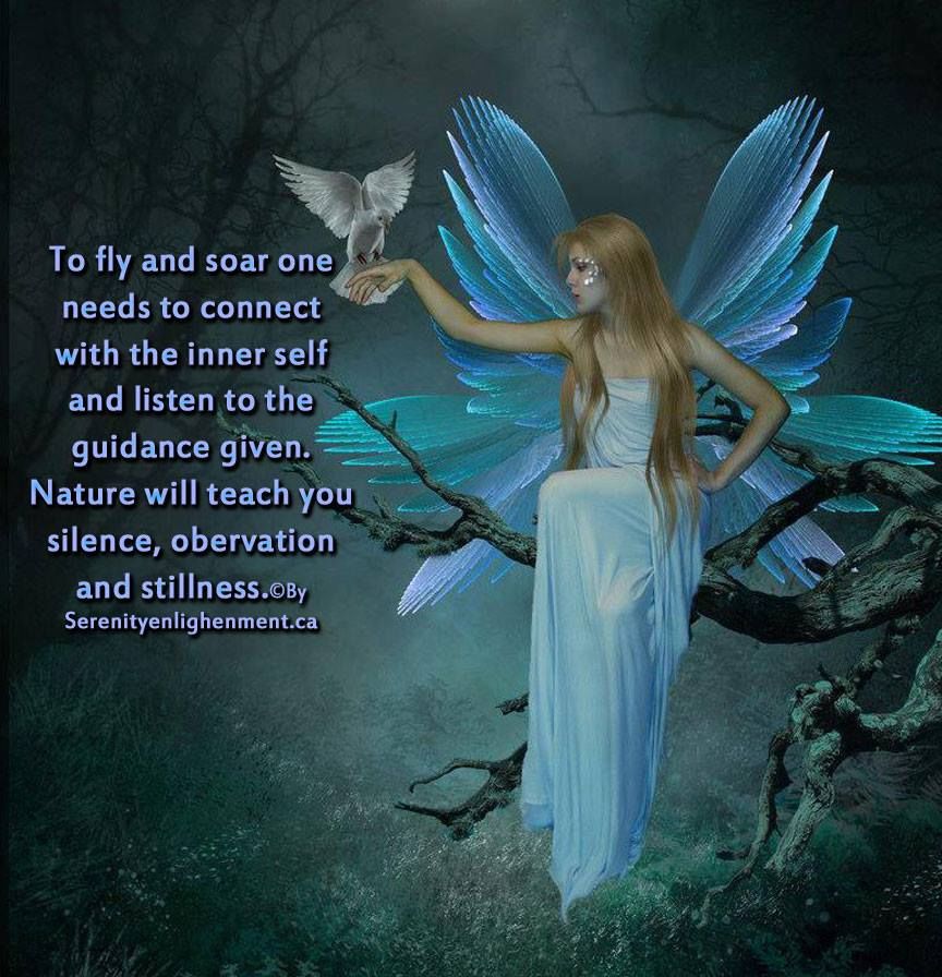 To Fly And Soar Pictures, Photos, and Images for Facebook, Tumblr ...