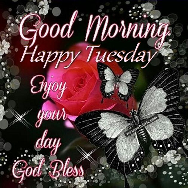 Good Morning Happy Tuesday Enjoy Your Day Pictures, Photos, and Images ...