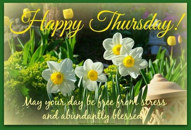 Happy Thursday! Pictures, Photos, and Images for Facebook, Tumblr ...