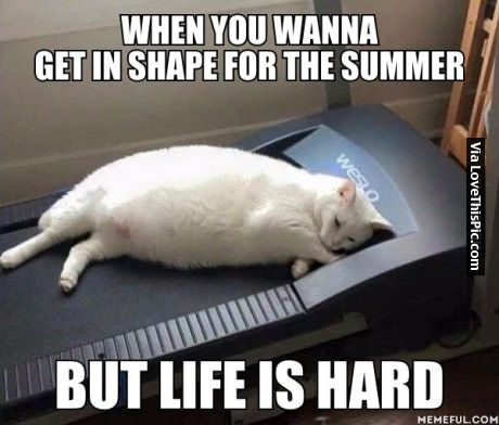 When You Wanna Get In Shape For The Summer But Life Is Hard Pictures ...