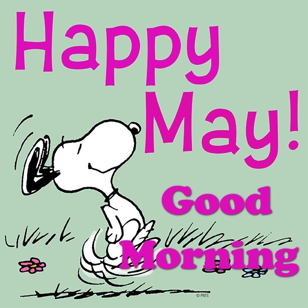 Happy May Good Morning Pictures, Photos, and Images for Facebook ...
