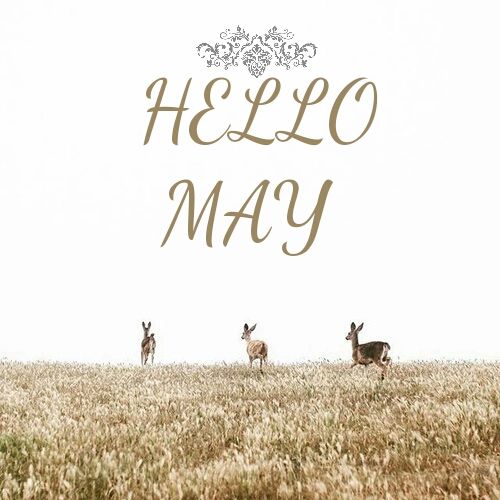 Hello May Pictures, Photos, and Images for Facebook, Tumblr, Pinterest ...