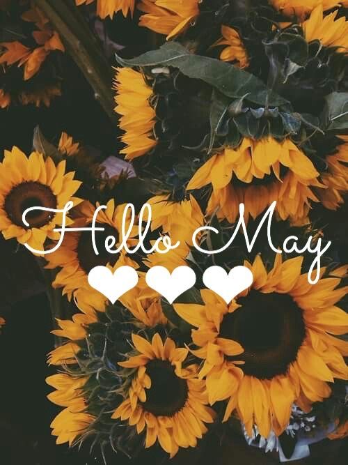 Hello May Pictures, Photos, and Images for Facebook, Tumblr, Pinterest ...