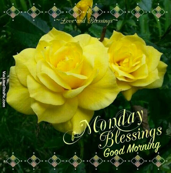 Monday Blessings, Good Morning Pictures, Photos, and Images for ...