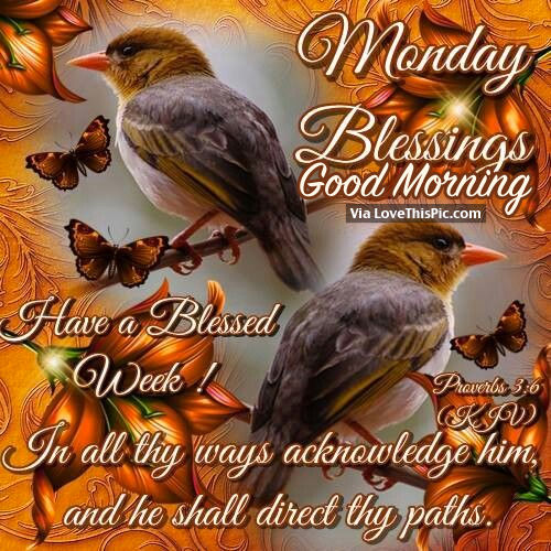 Monday Blessings, Good Morning Pictures, Photos, and Images for ...