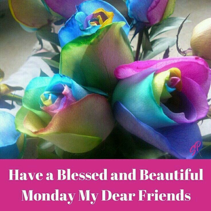 Have A Blessed And Beautiful Monday Friends Pictures, Photos, and ...