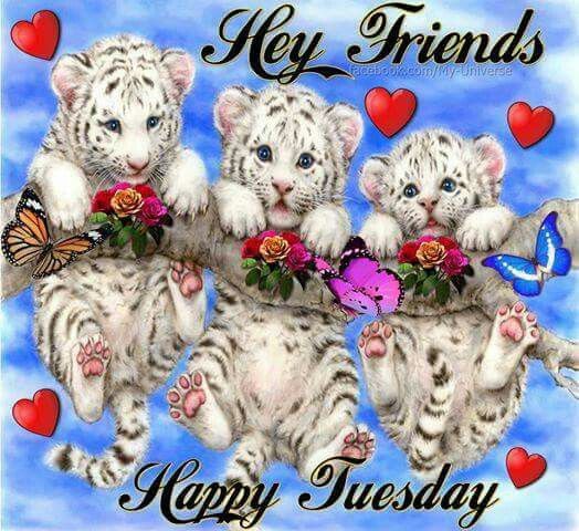 Hey Friends Happy Tuesday Pictures, Photos, and Images for Facebook ...