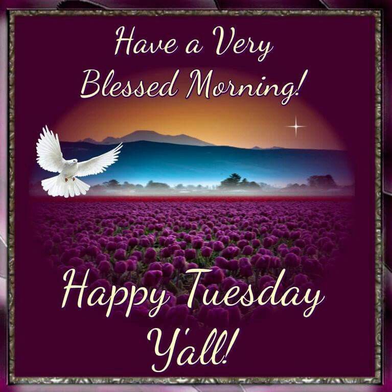 Have A Very Blessed Morning! Happy Tuesday Yall! Pictures, Photos, and ...