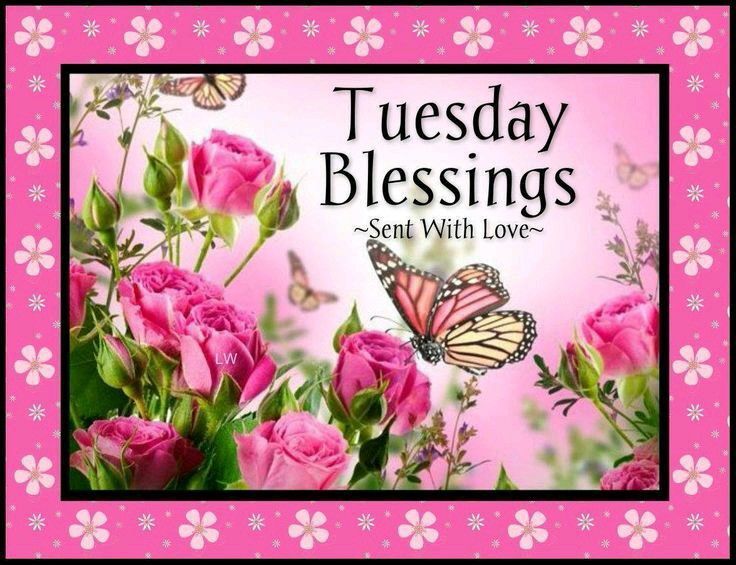 Tuesday Blessings Pictures, Photos, and Images for Facebook, Tumblr ...