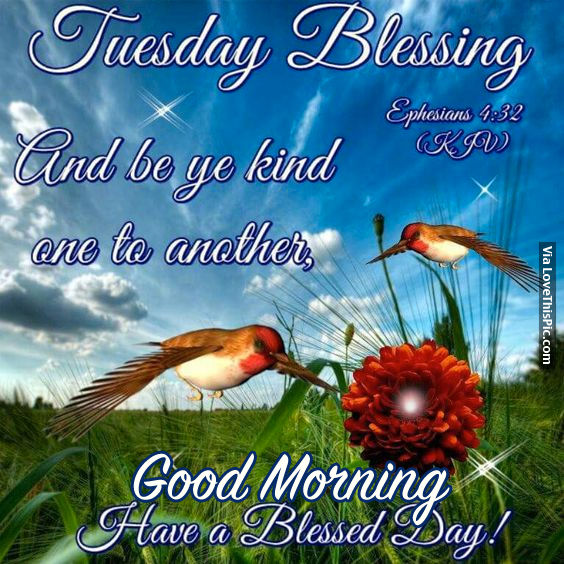 Tuesday Blessing, Good Morning, Have A Blessed Day! Pictures, Photos ...
