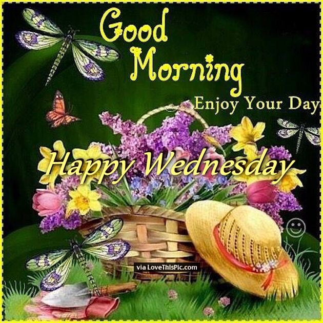 Good Morning Enjoy Your Wednesday Pictures, Photos, and Images for ...