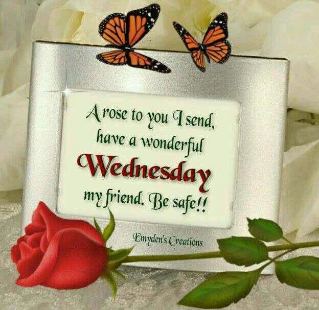 Sending You A Rose On Wednesday Pictures, Photos, and Images for ...