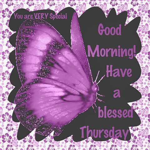 Beautiful Good Morning Thursday Butterfly Pictures, Photos, and Images ...