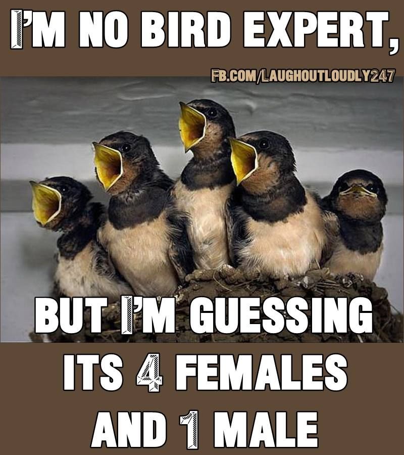 I'm No Expert But... Pictures, Photos, and Images for Facebook, Tumblr ...