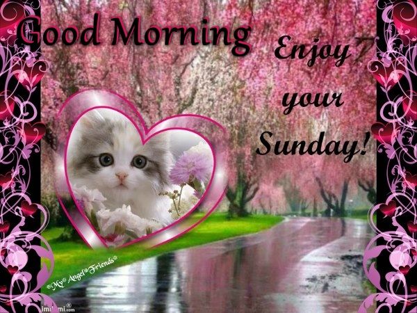 Good Morning Enjoy Your Sunday Cute Quote Pictures, Photos, and Images ...