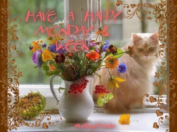 Have A Happy Monday And Week Pictures, Photos, and Images for Facebook ...