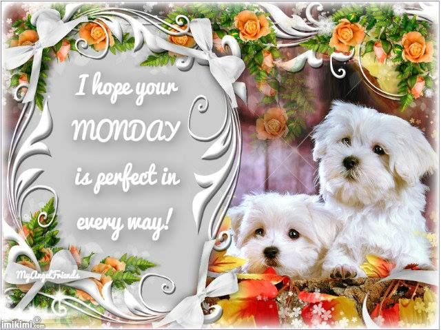 I Hope Your Monday Is Perfect In Every Way Pictures, Photos, and Images ...