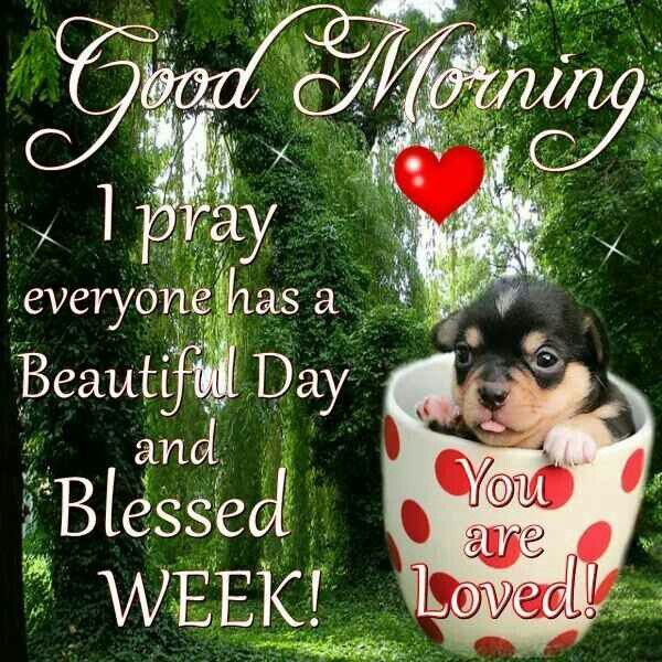 Good Morning I Pray You Have A Beautiful Week Pictures, Photos, and ...