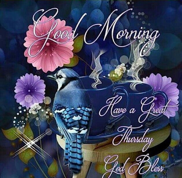 Good Morning, Have A Great Thursday Pictures, Photos, and Images for ...