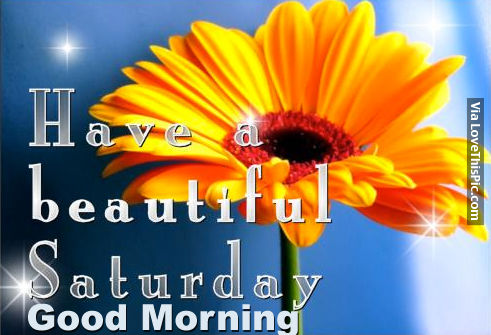 Have A Beautiful Saturday, Good Morning Pictures, Photos, and Images ...
