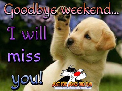 Goodbye Weekend, I Will Miss You! Pictures, Photos, and Images for ...