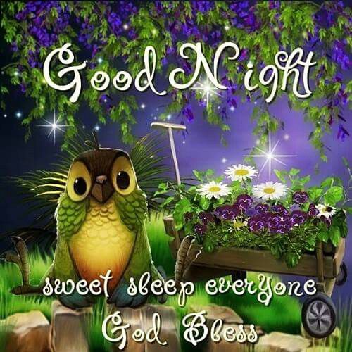 Goodnight, Sweet Sleep Everyone. God Bless Pictures, Photos, and Images ...