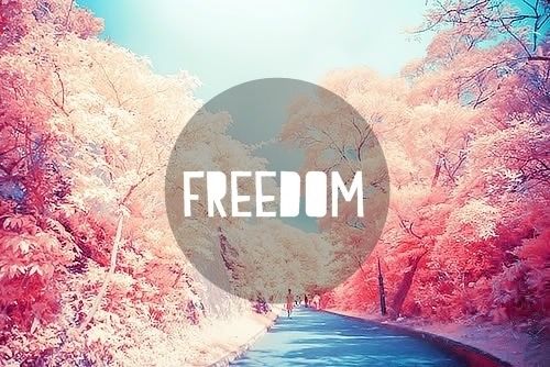 FREEDOM Pictures, Photos, and Images for Facebook, Tumblr, Pinterest ...