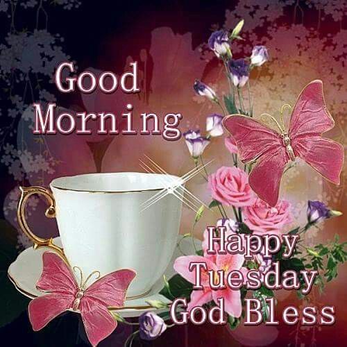 Good Morning, Happy Tuesday, God Bless Pictures, Photos, and Images for ...