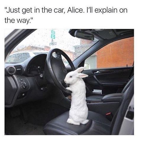 Just Get In I Will Explain Later Pictures, Photos, and Images for ...