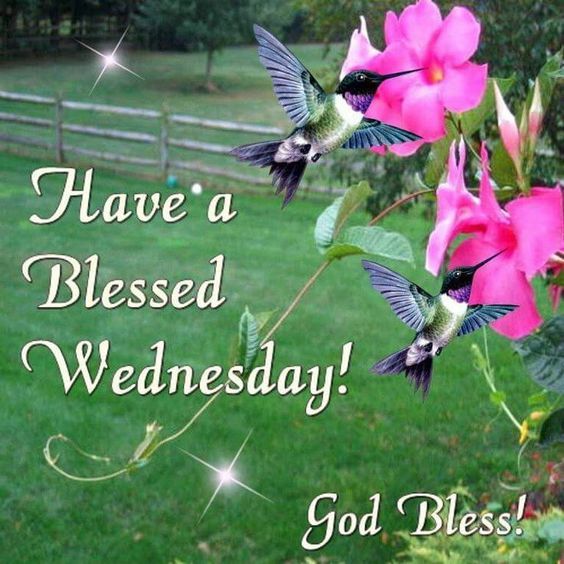 Have A Blessed Wednesday God Bless Pictures, Photos, and Images for ...