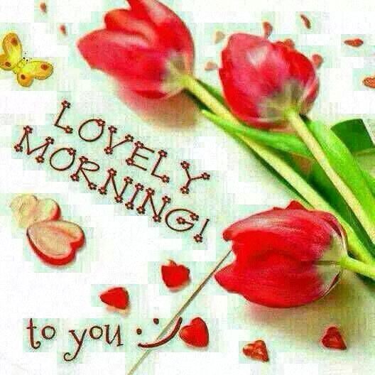 Lovely Morning To You Pictures, Photos, and Images for Facebook, Tumblr ...