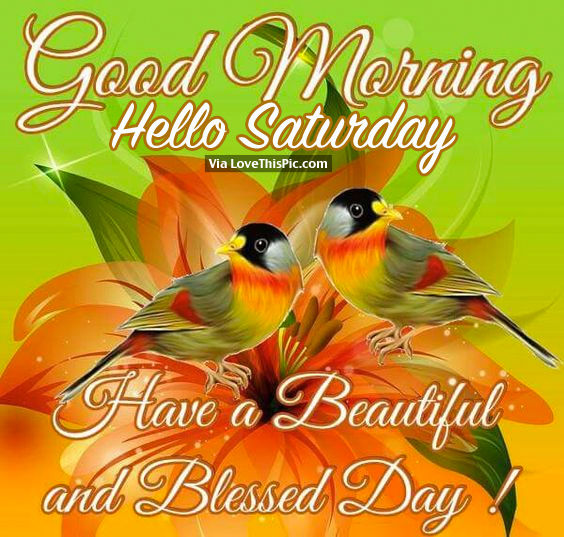 Good Morning, Hello Saturday Pictures, Photos, and Images for Facebook ...