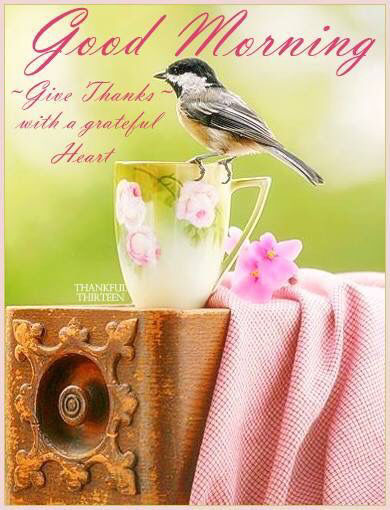 Good Morning Give Thanks With A Grateful Heart Pictures, Photos, and ...