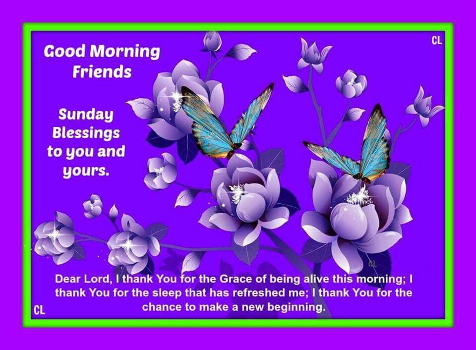 Good Morning Friends, Sunday Blessings Pictures, Photos, and Images for ...