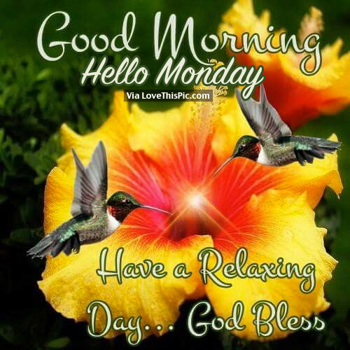 Good Morning Hello Monday Pictures, Photos, and Images for Facebook ...