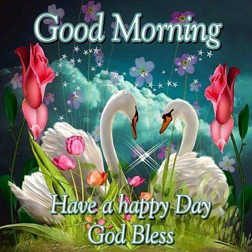 Good Morning, Have A Happy Day, God Bless Pictures, Photos, and Images ...