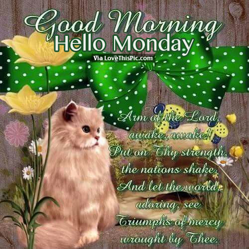 Good Morning Hello Monday Pictures, Photos, and Images for Facebook ...